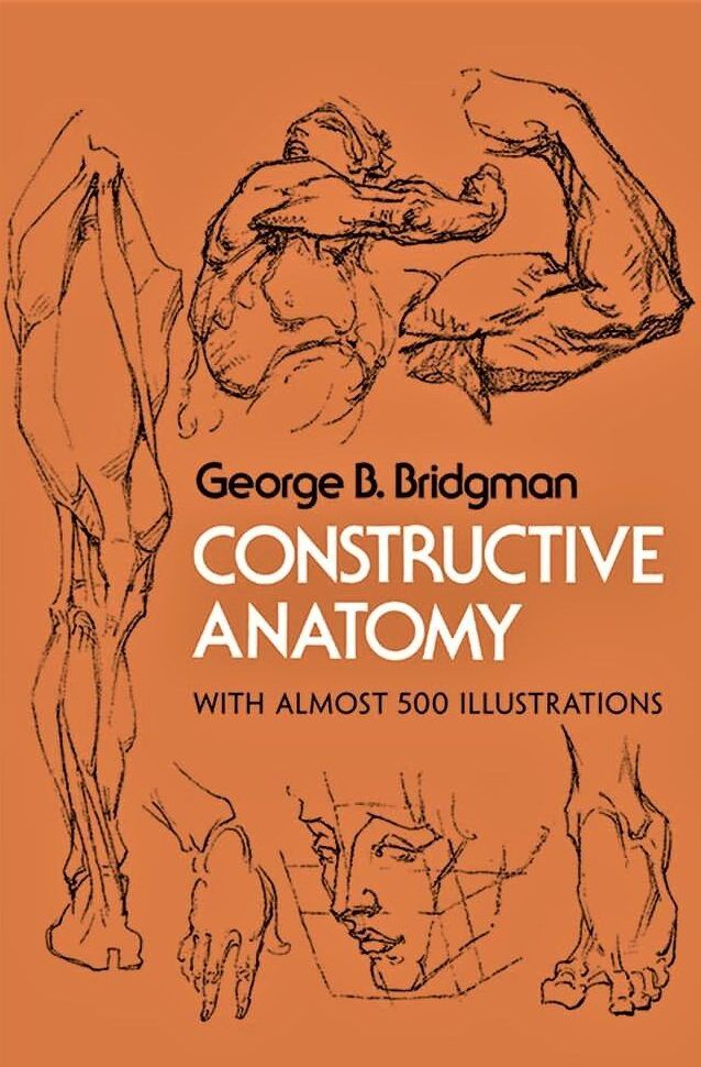5 Best Anatomy Art Books For Beginners - Smashing Pencils