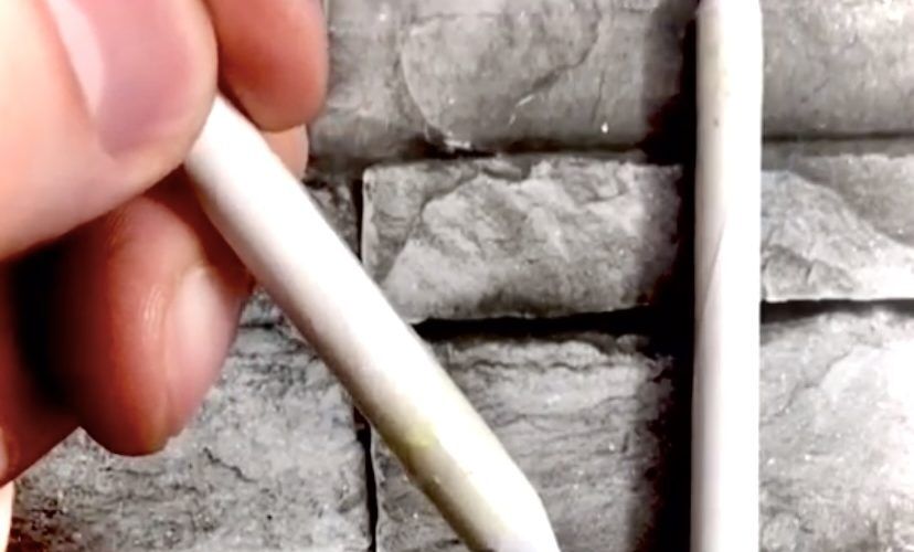 5 Best Anatomy Art Books For Beginners Smashing Pencils